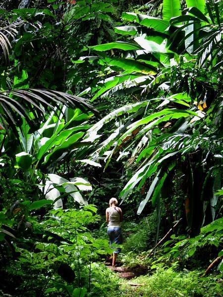 Environment - further reading guide | libcom.org